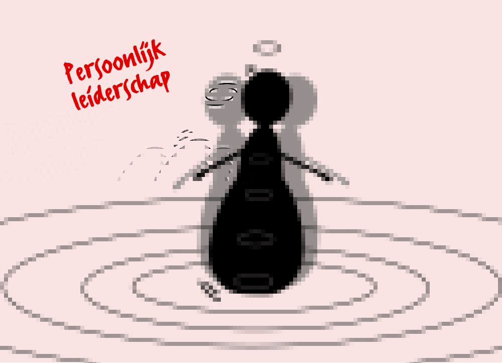 Persoonlijk leiderschap - Ardis
